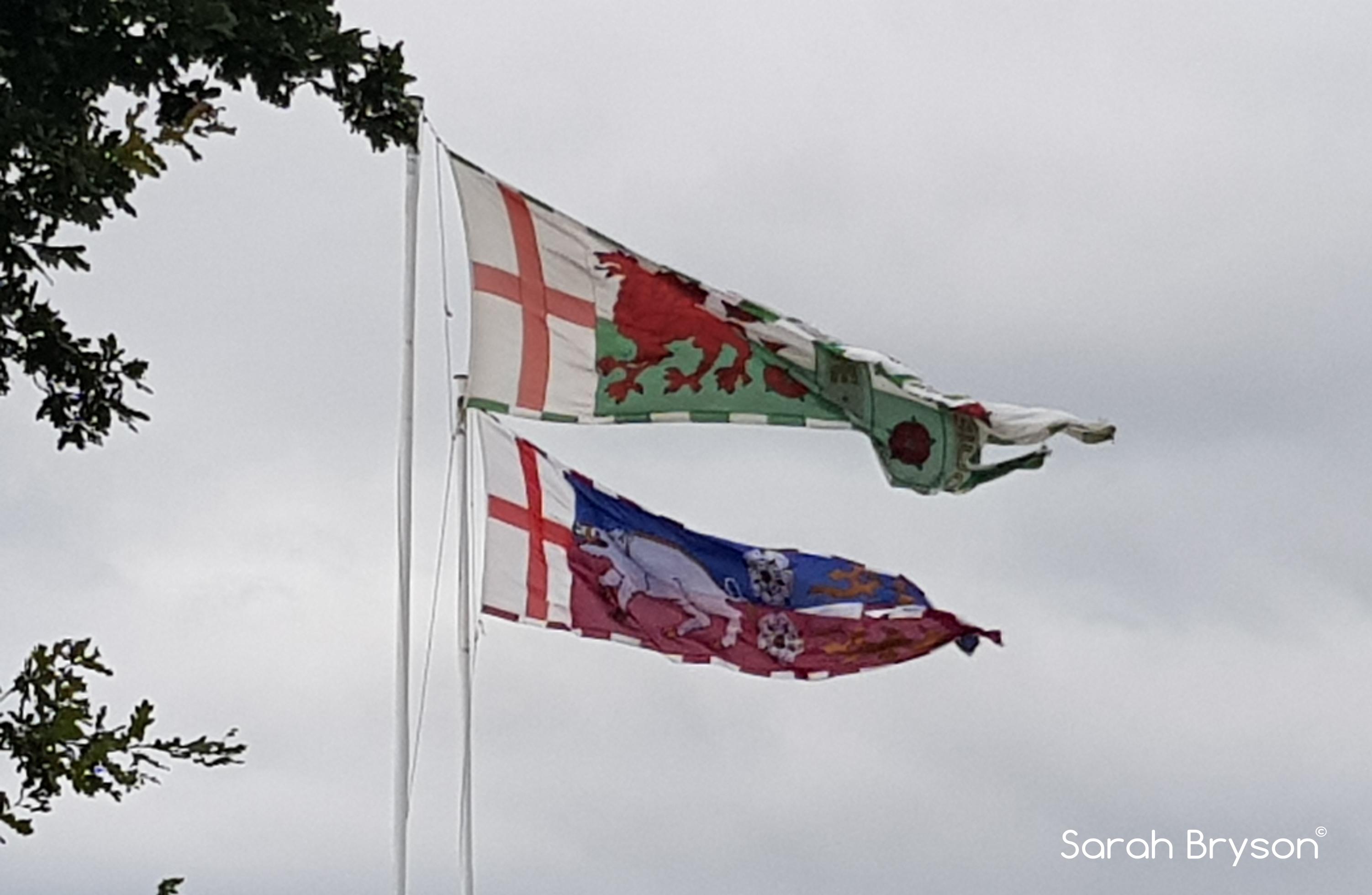 Titulus Regius: The Fall of Richard III and the Battle of Bosworth